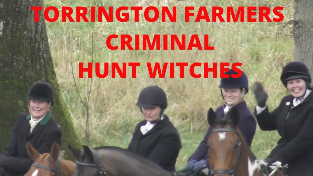 Torrington Farmers Hunt and Stevenstone Hunt 2022-23