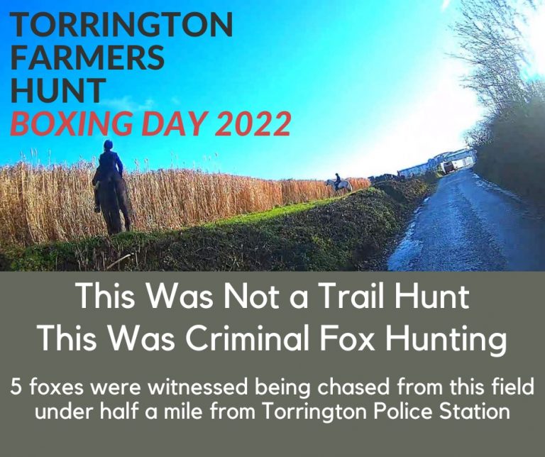 Torrington Farmers Hunt and Stevenstone Hunt 2022-23